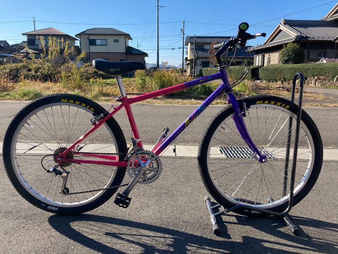 自転車本体 ARAYA Muddy Fox OLD MTB 26