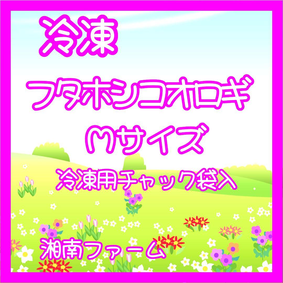 冷凍コオロギ Mサイズ 2kg 爬虫類 両生類 小動物 アロワナ フトアゴ等
