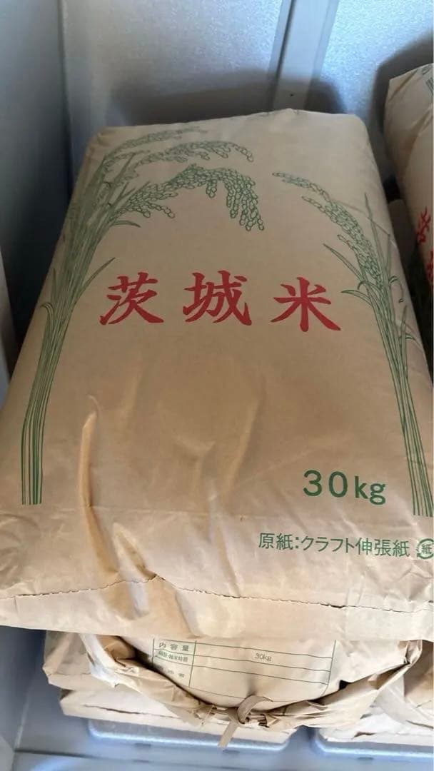 茨城県産　令和7年コシヒカリ　玄米　30kg 冷蔵庫保管 農家直送