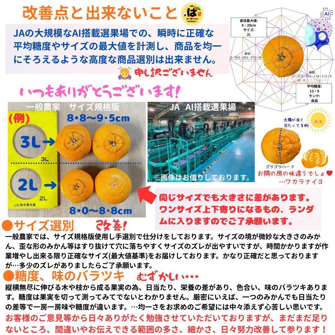 ※確認用　訳あり　大玉MIX箱込み4.5kg以上【露地栽培　不知火　デコポン】