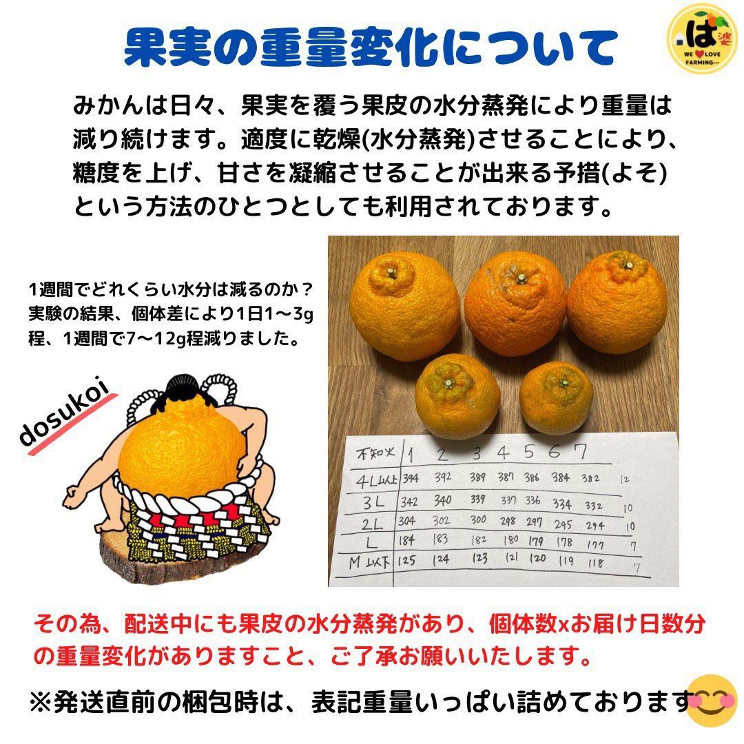 ※確認用　訳あり　大玉MIX箱込み4.5kg以上【露地栽培　不知火　デコポン】