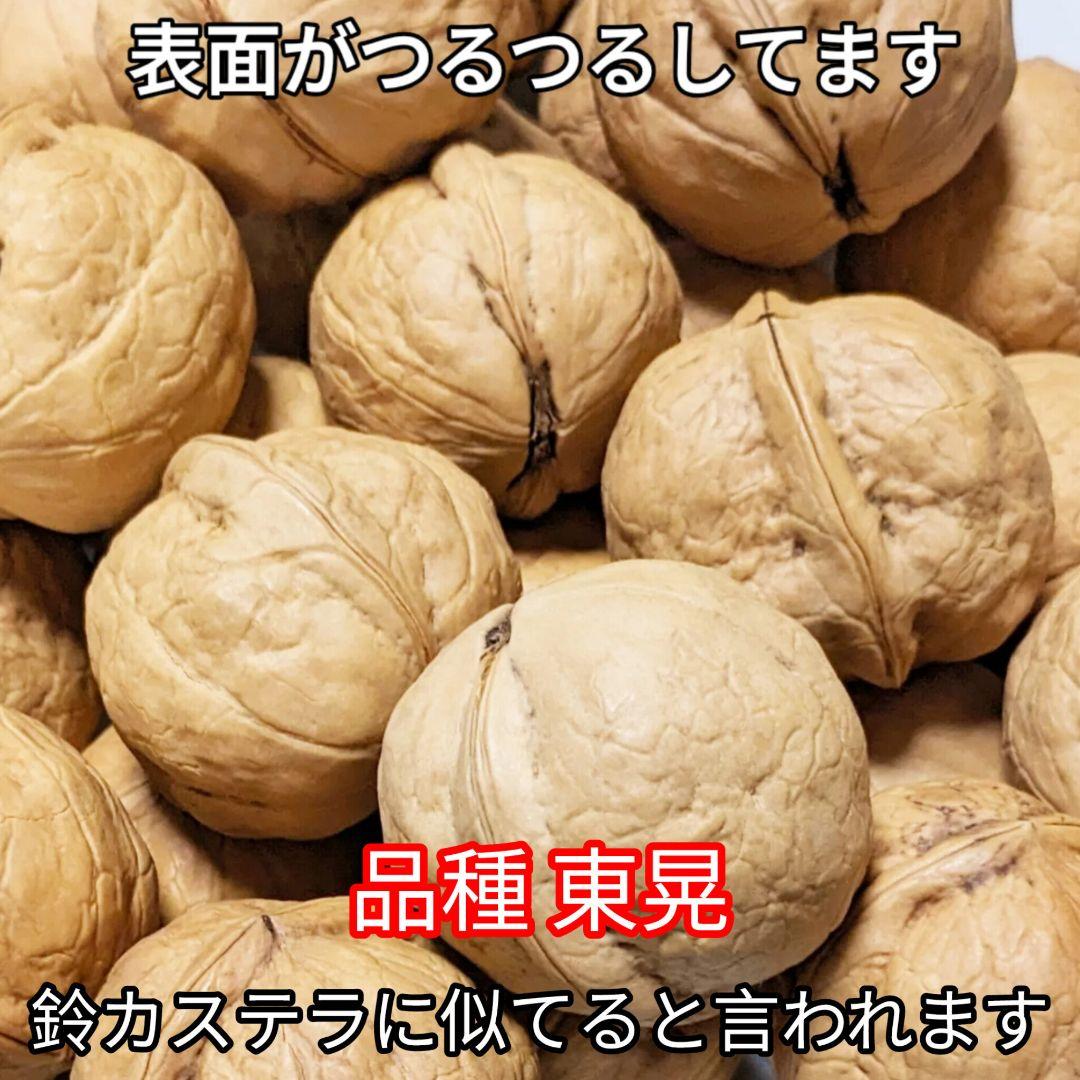 くまたくん商品 25年産 新物 国産 殻付き信濃くるみ 長野県産