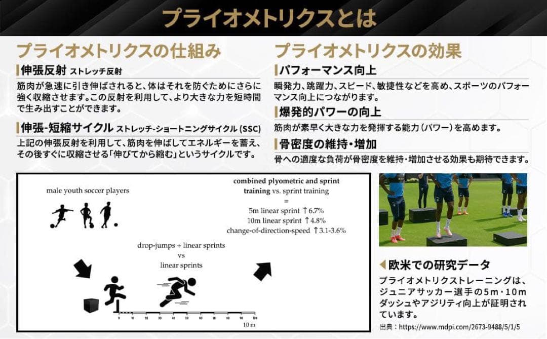 【新品】プライオボックス ジャンプボックス 4段 ジャンプ台 プライオメトリクス