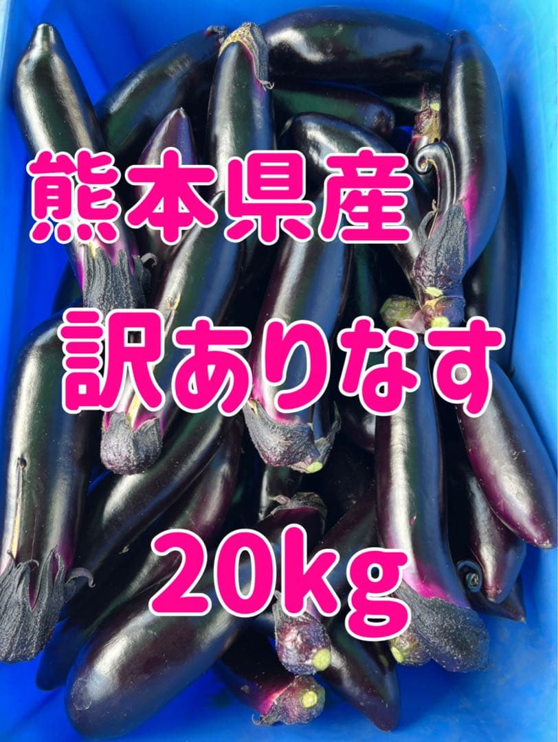 【訳あり】 熊本県産 なす 箱込み20kg