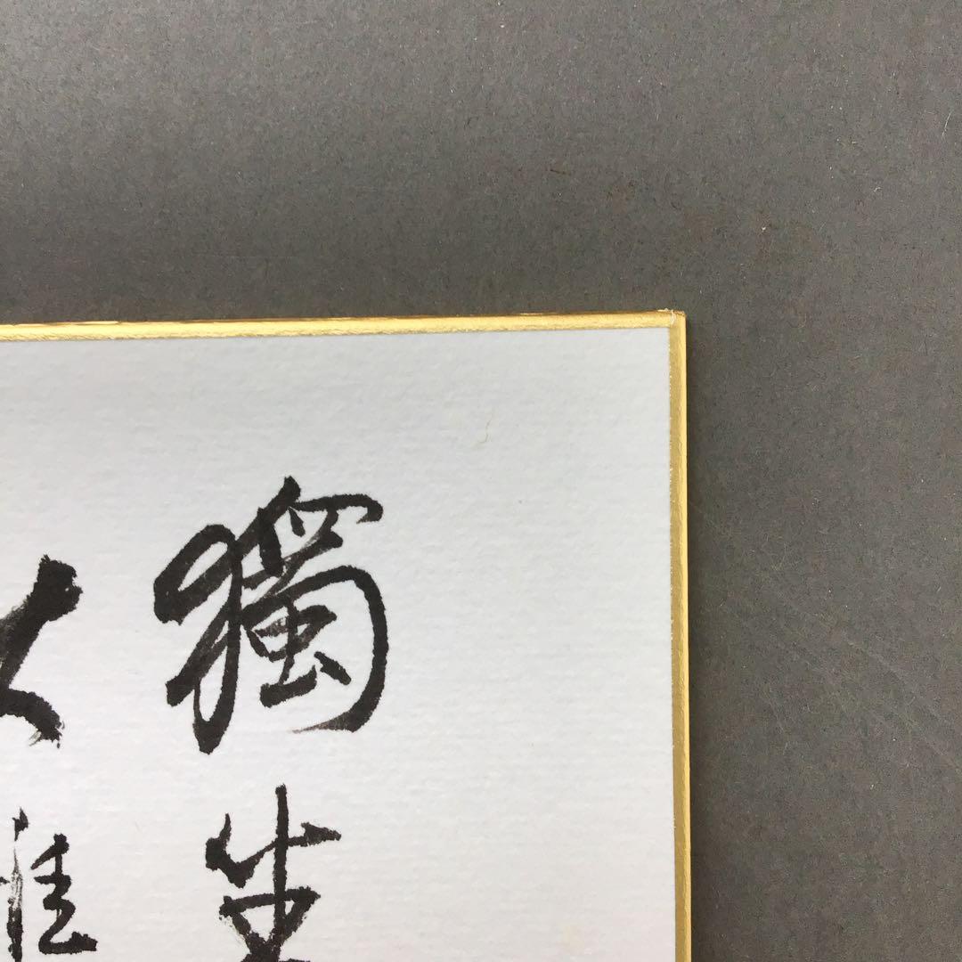 色紙　「獨坐大雄峯」伊藤白鳳作　写　栞　畳紙　配送用袋　S1028SS