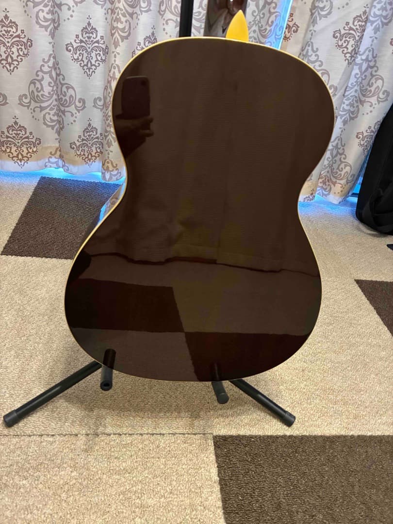 VISION リゾネーターギター　ドブロ　LEVY's高級ケース付き