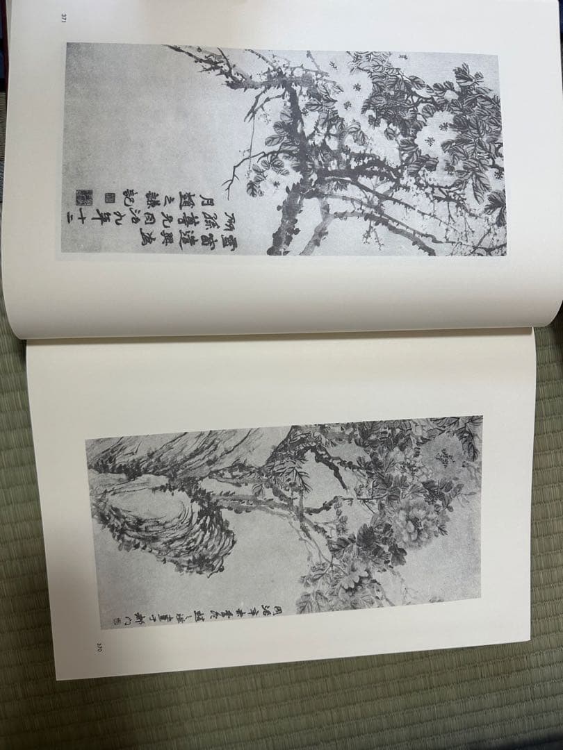 趙之謙　中国　骨董品　古美術品　掛け軸　書　出版物　巨大本　清朝　古書