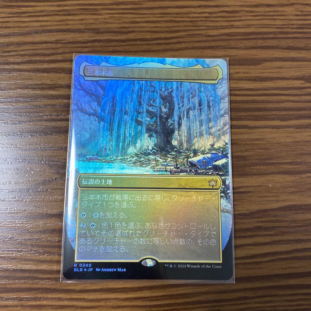 MTG 三本木市　冬　ボーダーレス foil
