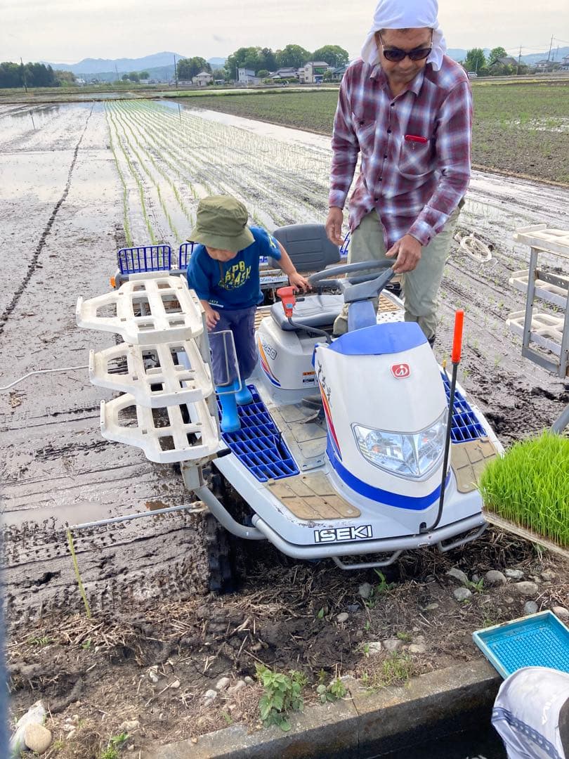 農家直送　令和七年度　栃木県産　コシヒカリ　玄米　30kg　1袋