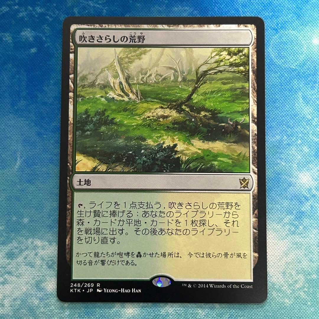吹きさらしの荒野 4枚セット MTG