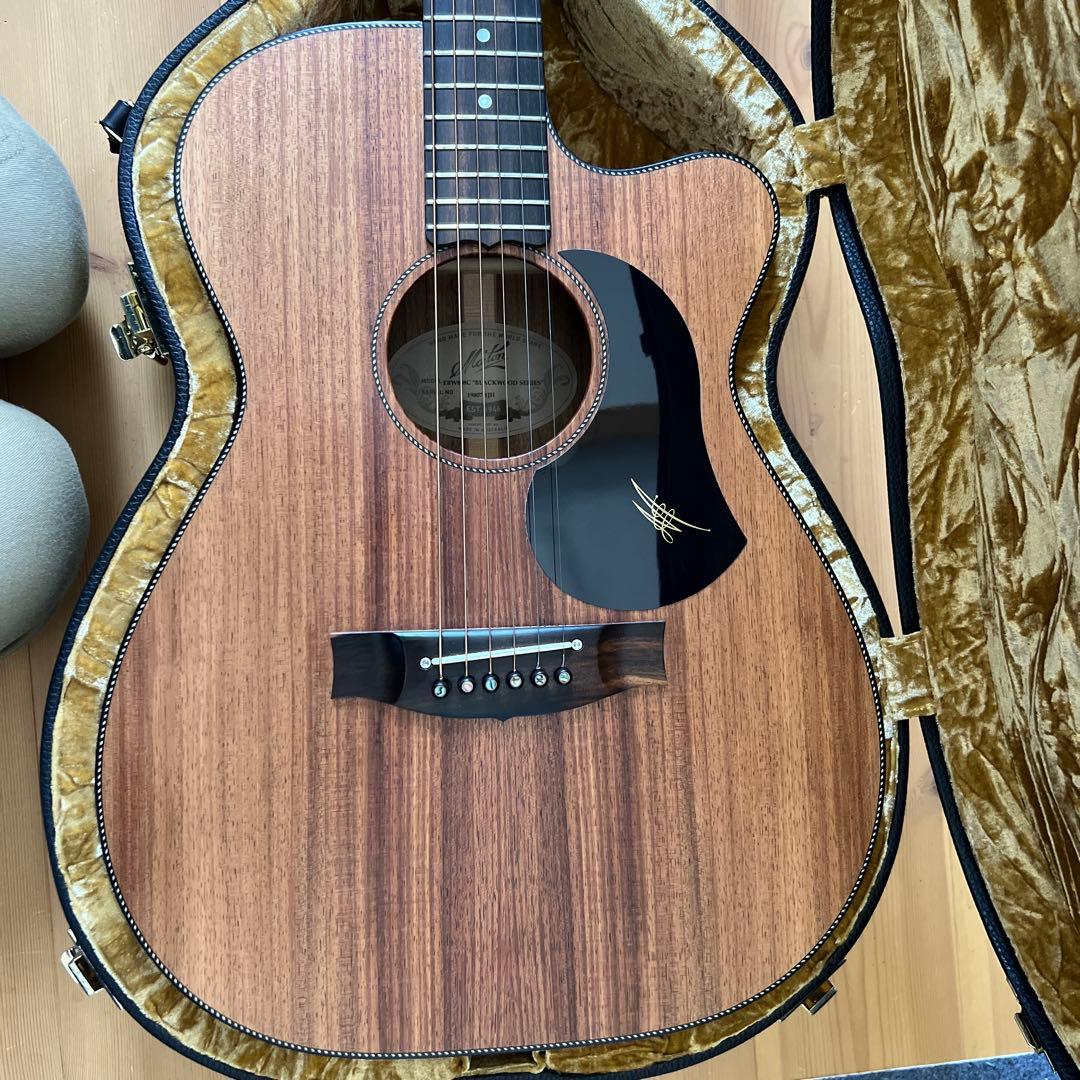 Maton メイトン EBW808C 中古