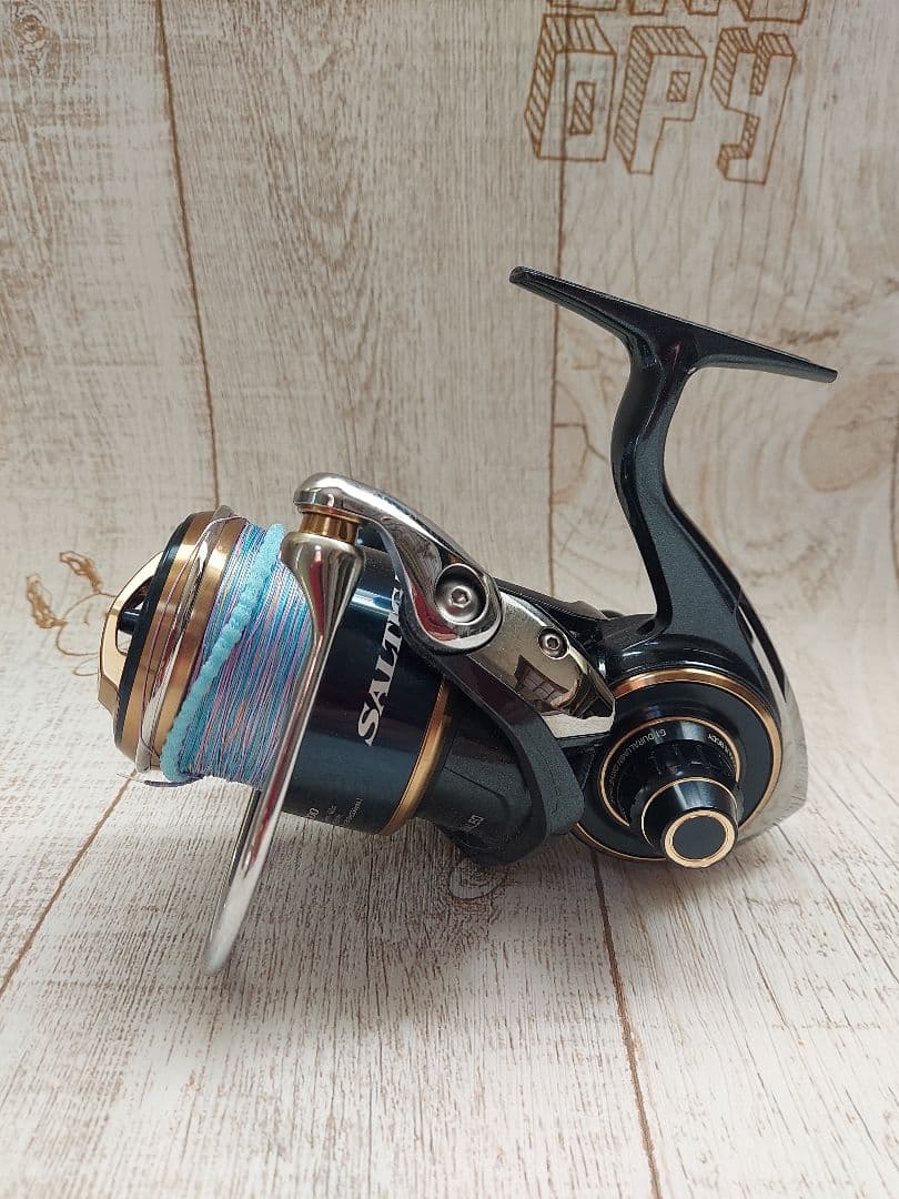 DAIWA SALTIGA 8000P　ラインナシ