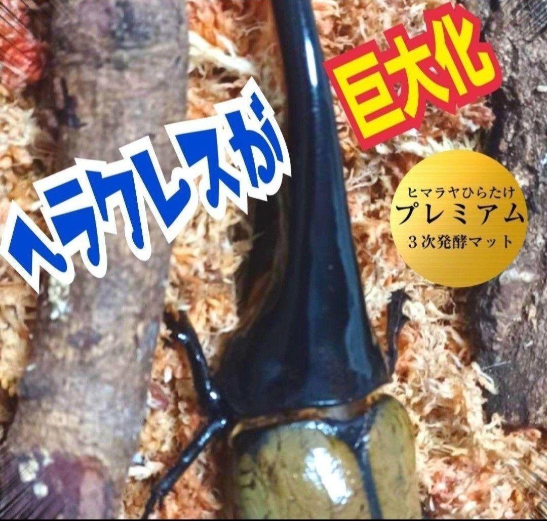 特選！プレミアム3次発酵カブトムシマット【たっぷり6袋】幼虫の餌・産卵に抜群！