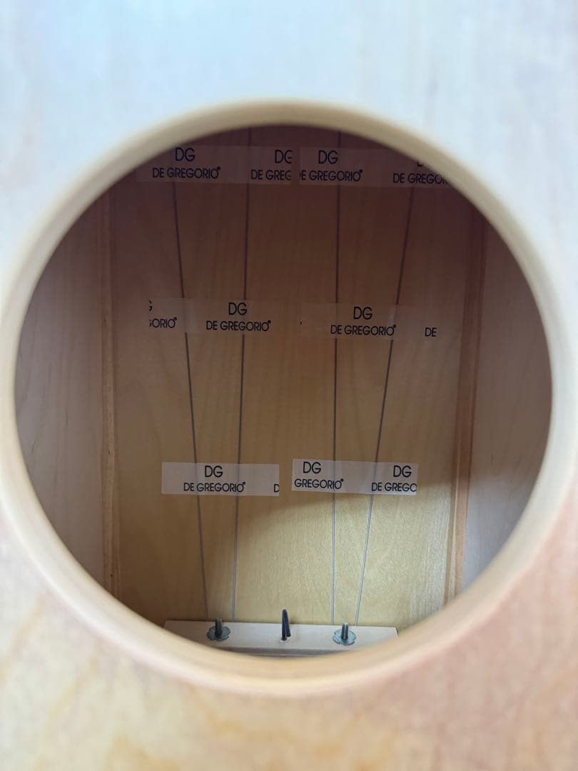 DG de Gregorio カホン　ケース・クッション付き　 打楽器　極美品