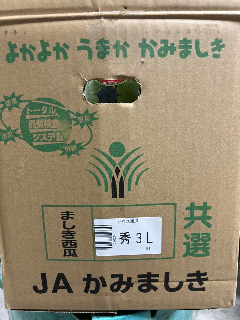 熊本県スイカ3Lサイズ2玉入り　約19kg