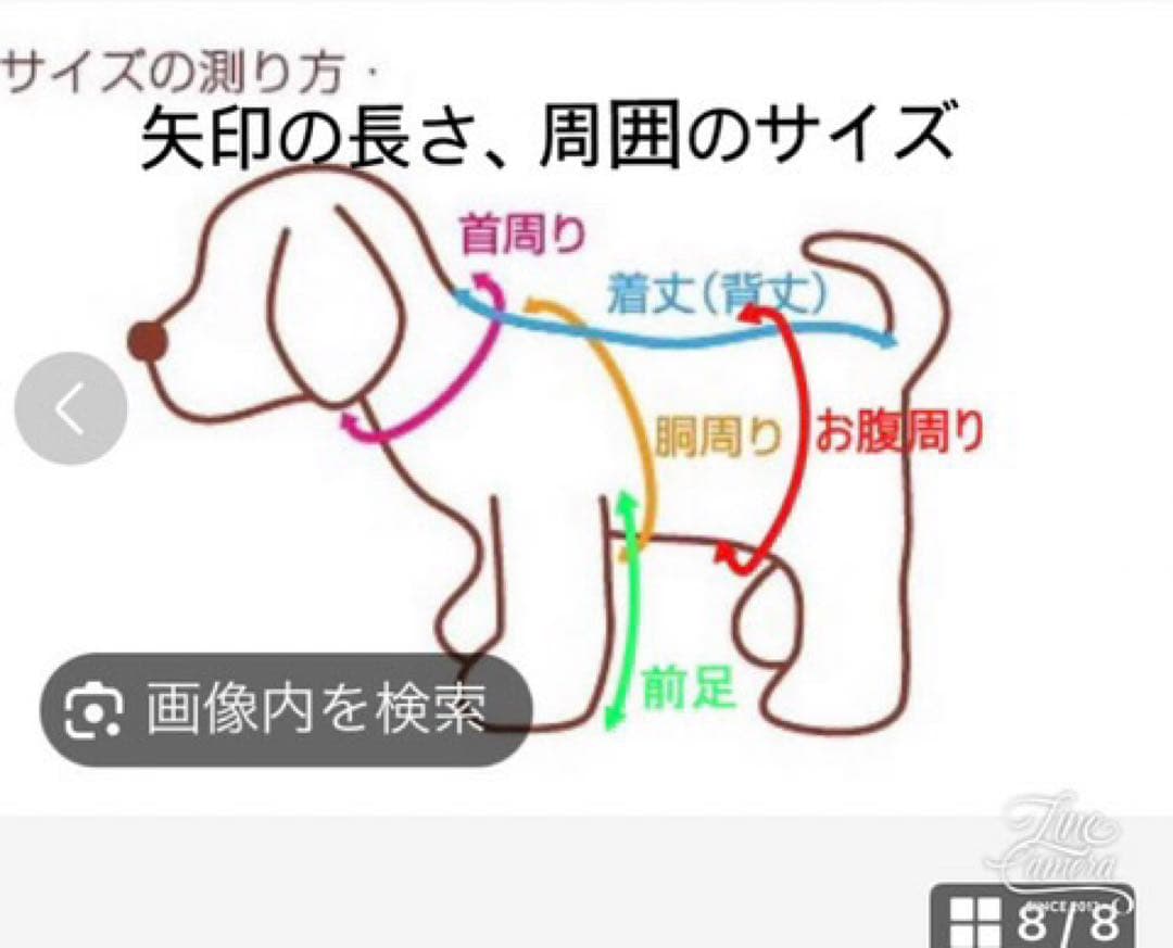 B419.pon2pan2☆オーダー☆犬着物☆犬2ウェイ着物☆犬お引き摺り着物