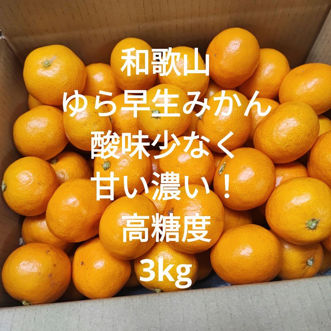 和歌山　みかん　ゆら早生　高糖度　3kg　変更8kg