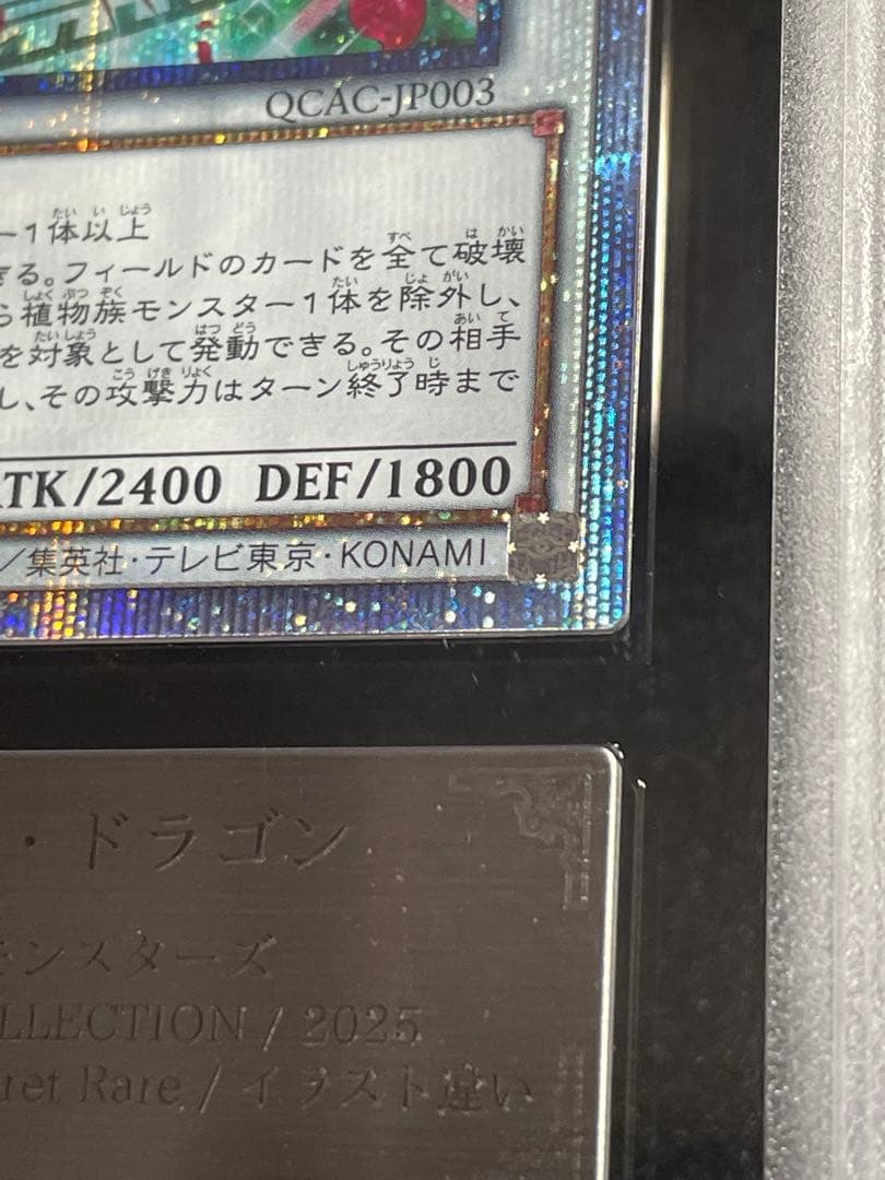 【ARS鑑定10】ブラックローズドラゴン　25th クオシク　絵違い　日版