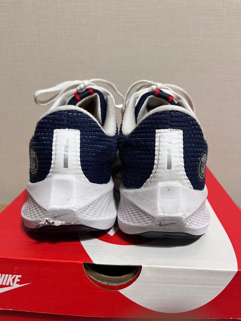 【希少】25.5CM値下げ　限定Nike Pegasus 40 PSG