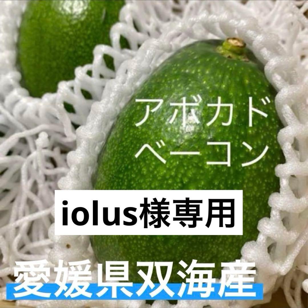 iolus　アボカド　ベーコン　約3kg