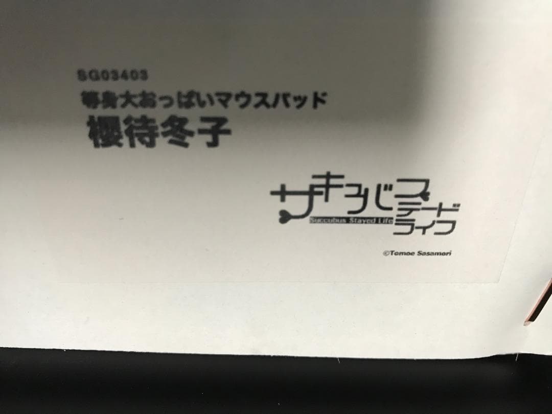 正規品 未開封 櫻待冬子 等身大おっぱいマウスパッド 「サキュバステードライフ」