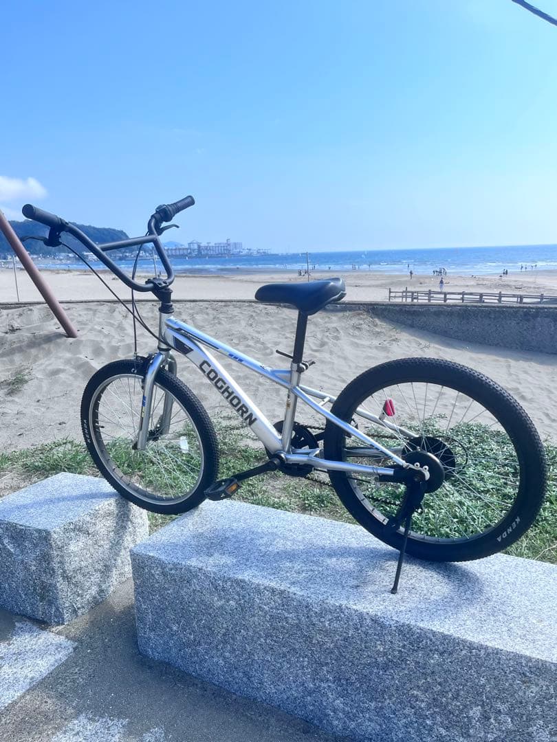 伊佐祐毅 さん専用COCHORN BMX 22インチ