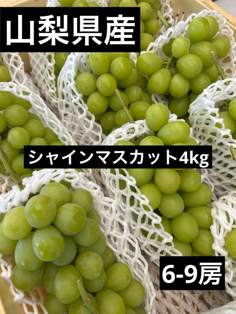シャインマスカット4キロ 6~9房