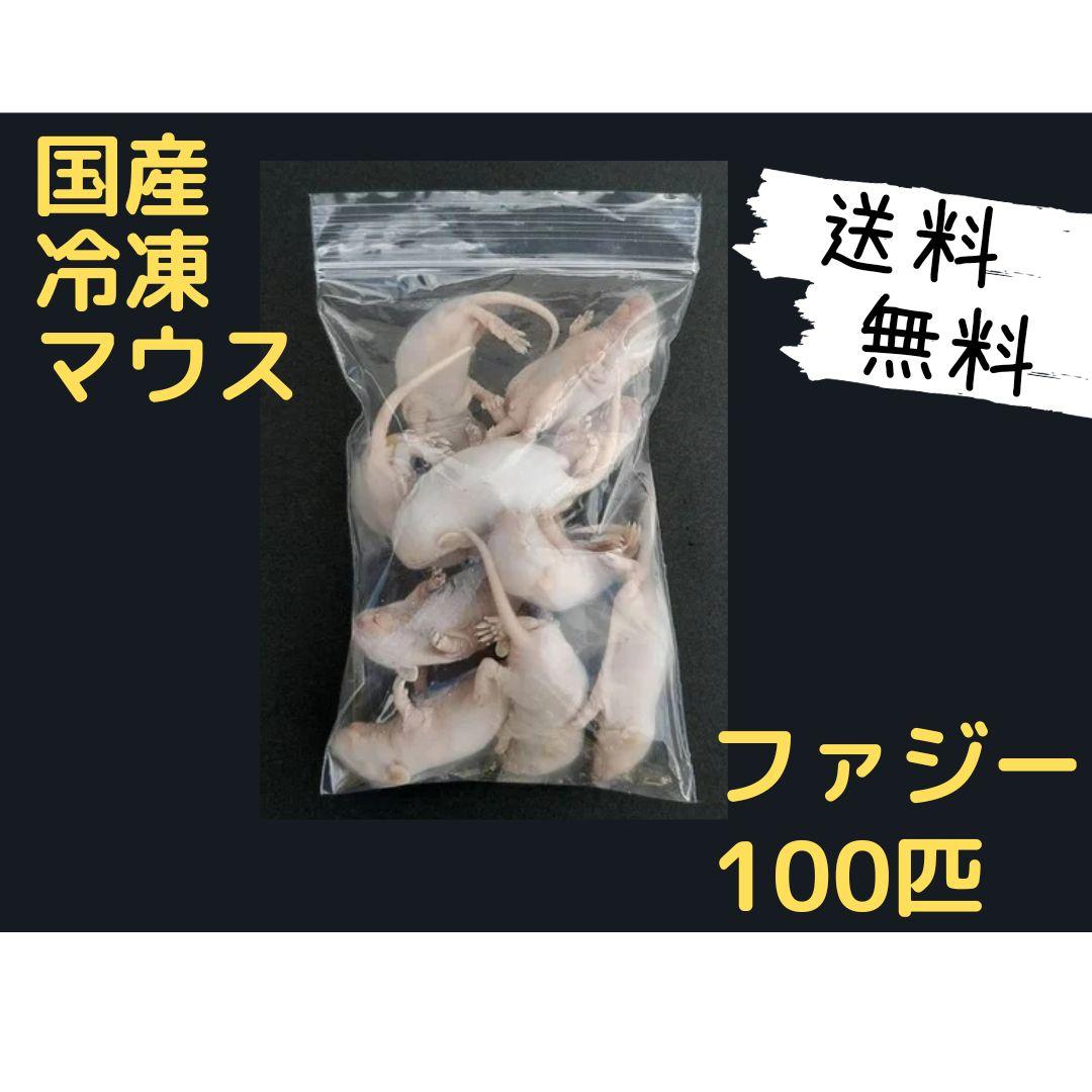 国産冷凍マウス ファジー 100匹