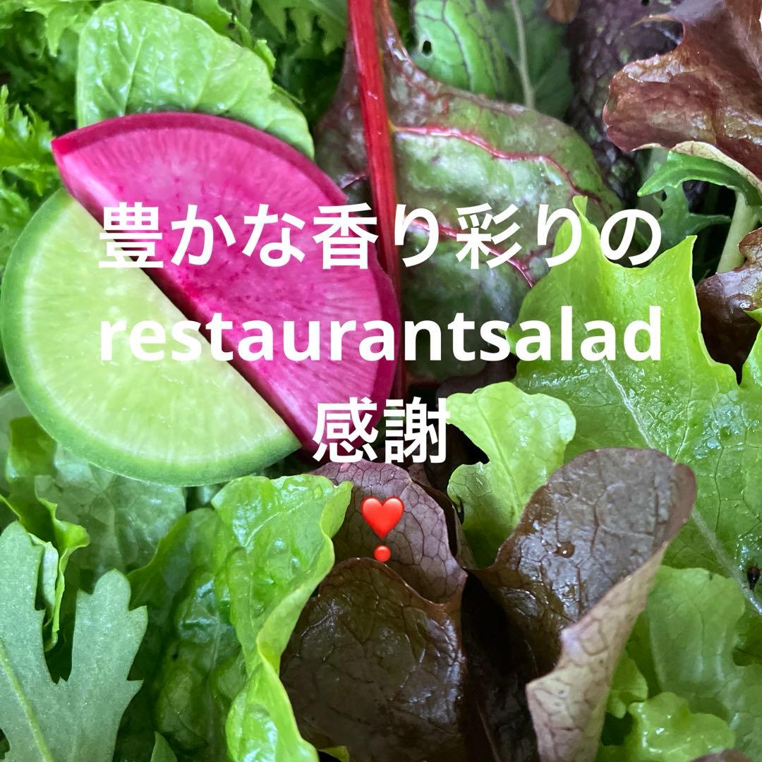豊かな香り彩りの　restaurant salad