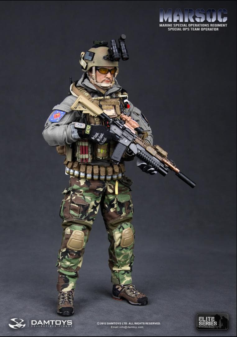 DAMTOYS製 Marsoc 1/6（約30cm）サイズのアクションフィギュア