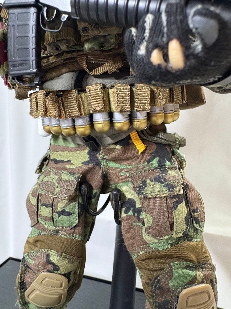 DAMTOYS製 Marsoc 1/6（約30cm）サイズのアクションフィギュア