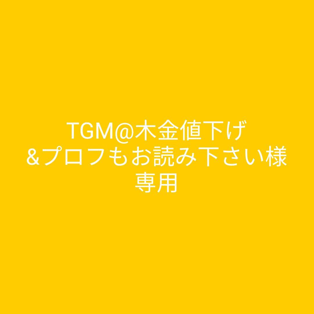 マジック：ザ・ギャザリング 2個セット