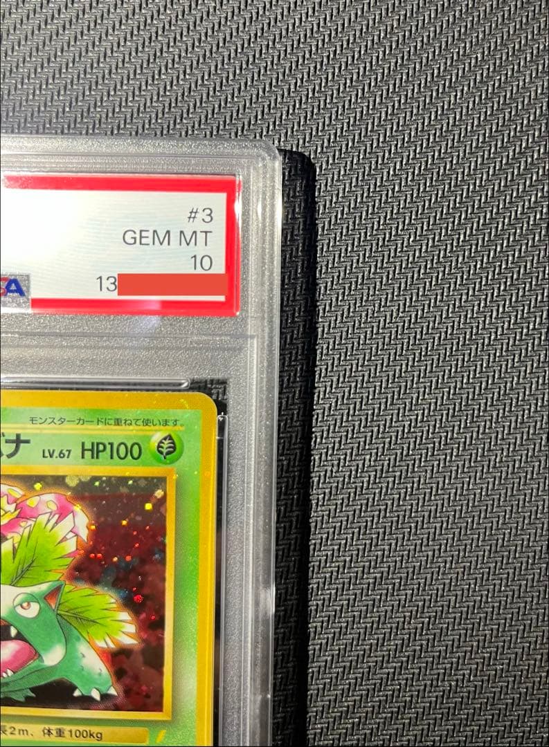 フジギバナ　旧裏　psa10