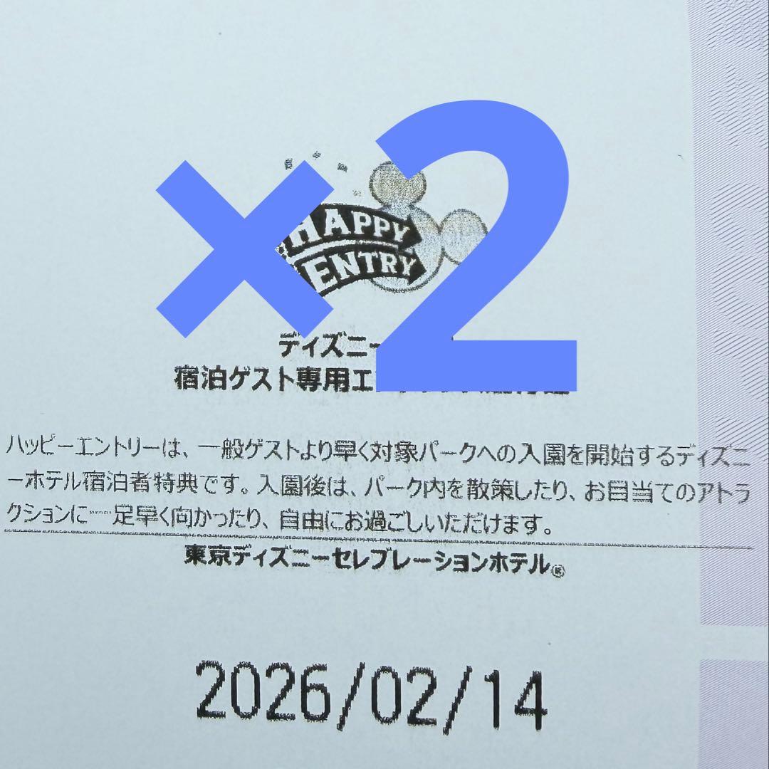 ディズニーランド ハッピーエントリー 2/14 2枚