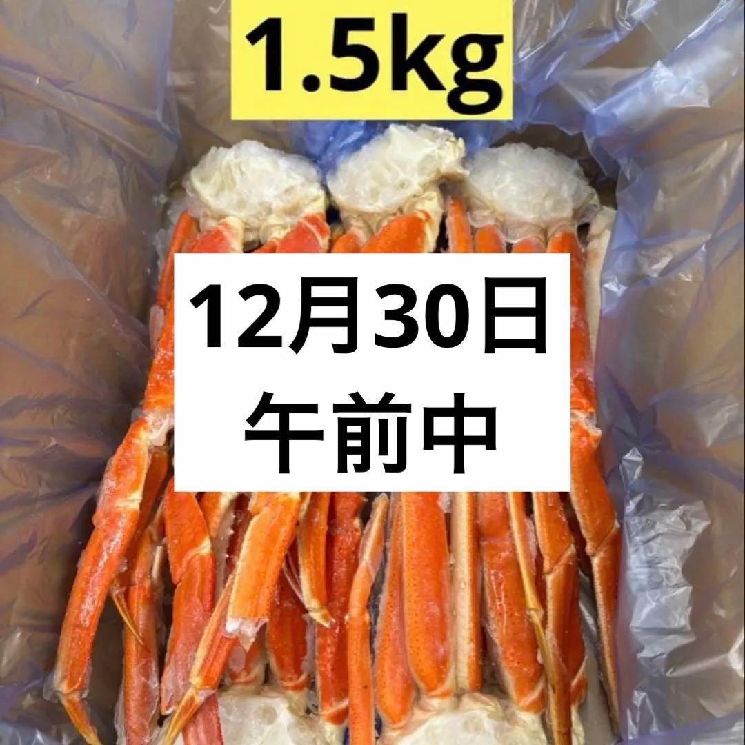 【12月30日午前中】マーミ　1.5kg