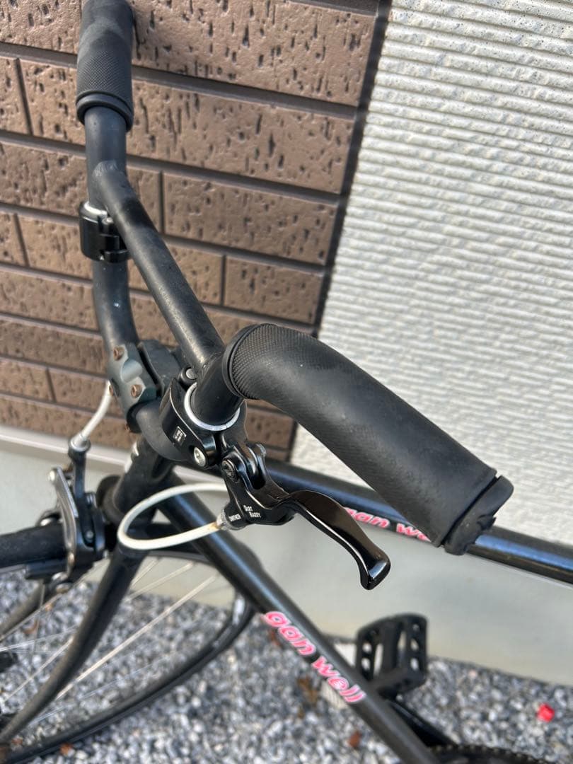 シングルスピードgan well 黒ピストバイク 自転車