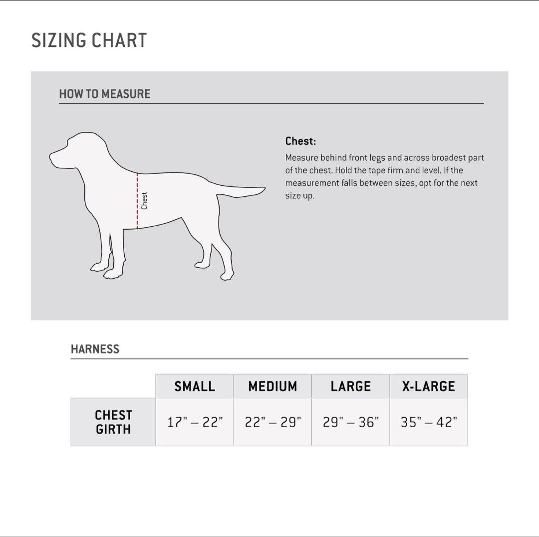 【ほぼ未使用】 カーハート ドッグハーネス&リードセットSサイズ格安早い者勝ち！
