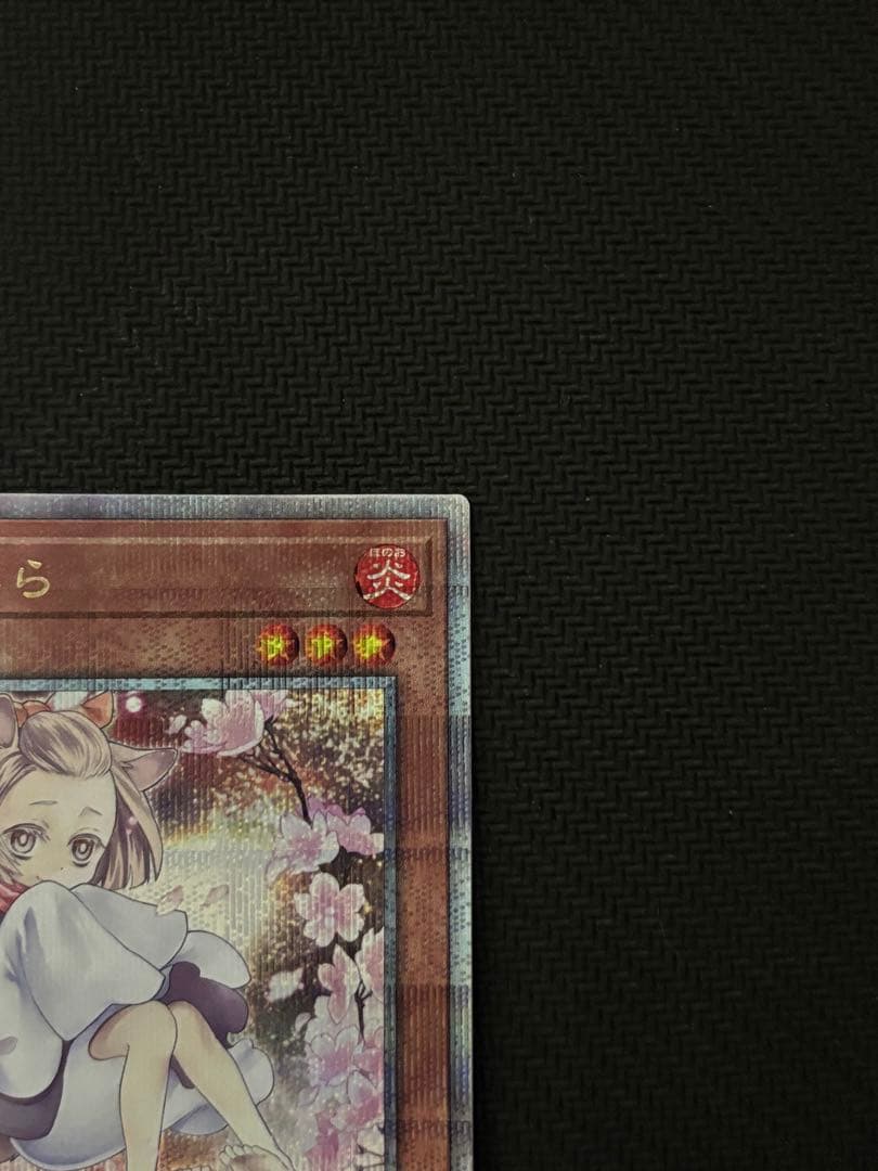 遊戯王 灰流うらら 絵違い 25thレア クオシク QCAC