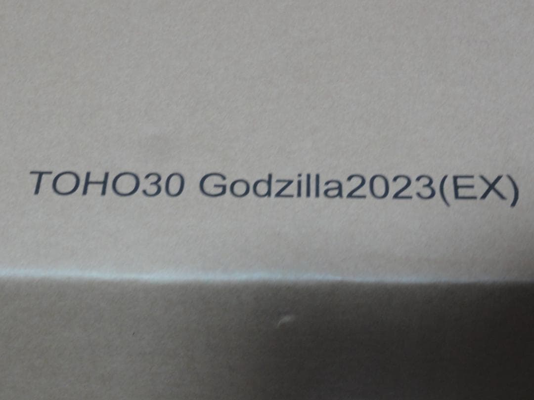 東宝30cmシリーズ ゴジラ 2023 少年リック限定盤 未開封未使用新品