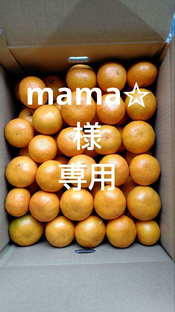 あすみ20kg(露地、家庭用)mama✩