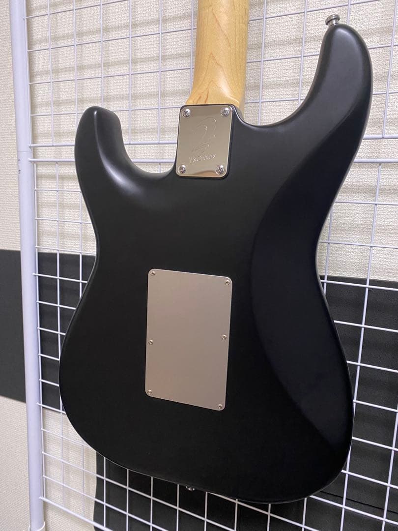 ギター TS Guitars ST-22 Custom black mat