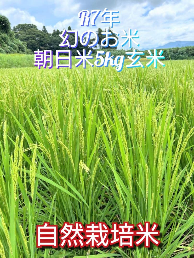 R7年 自然栽培米 2品種食べ比べセット10kg（5kg×2）玄米