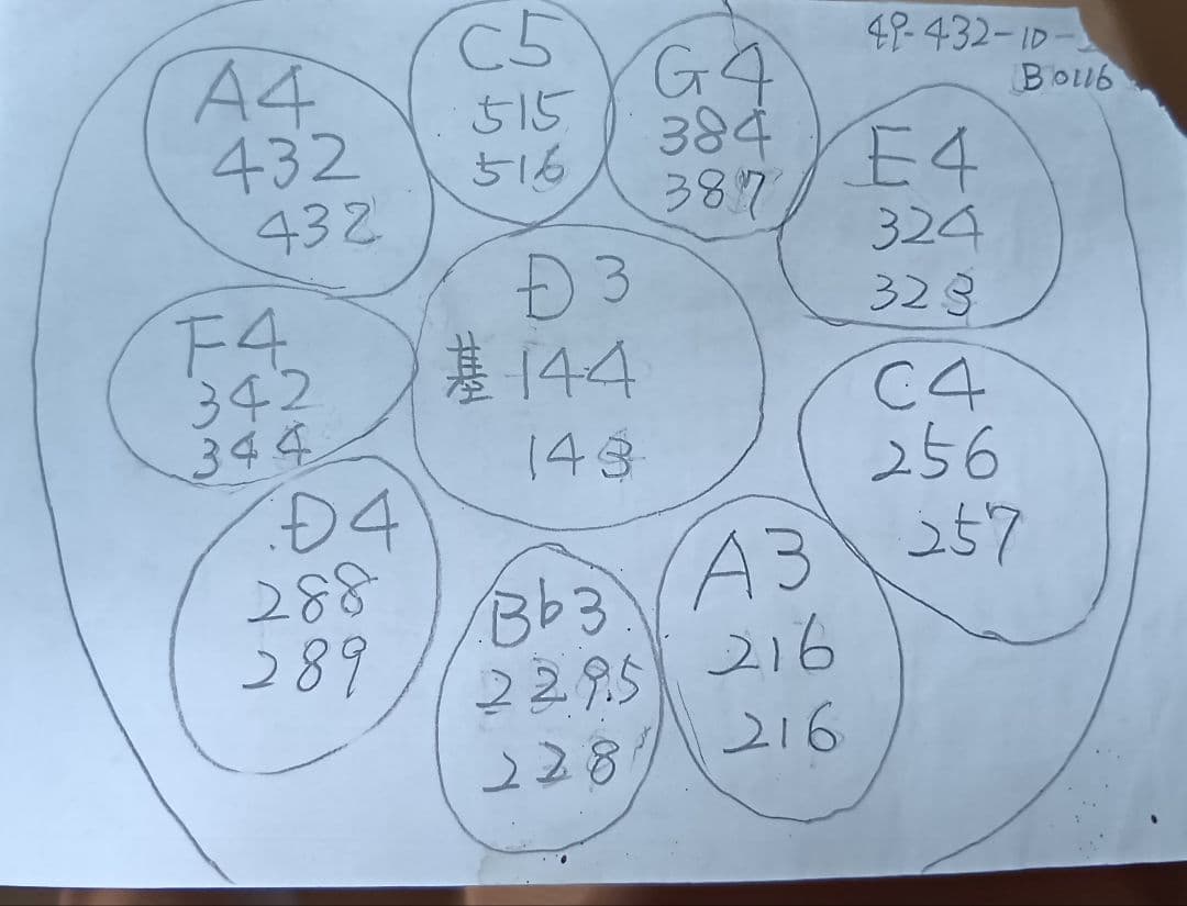 ももさん専用　ハンドパン　小ぶりの49センチ 10音A＝432Hz Dマイナー