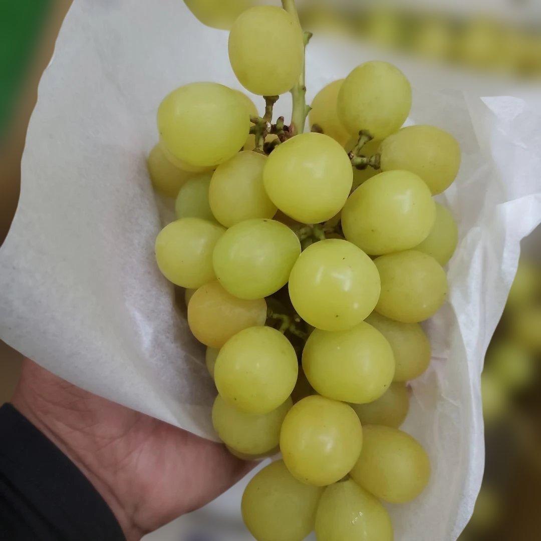 7️⃣ 山梨県産 シャインマスカット １１房入り 箱込み5.7キロ