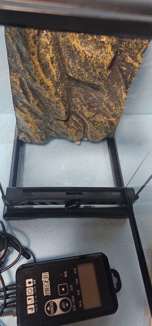 爬虫類飼育用品セット