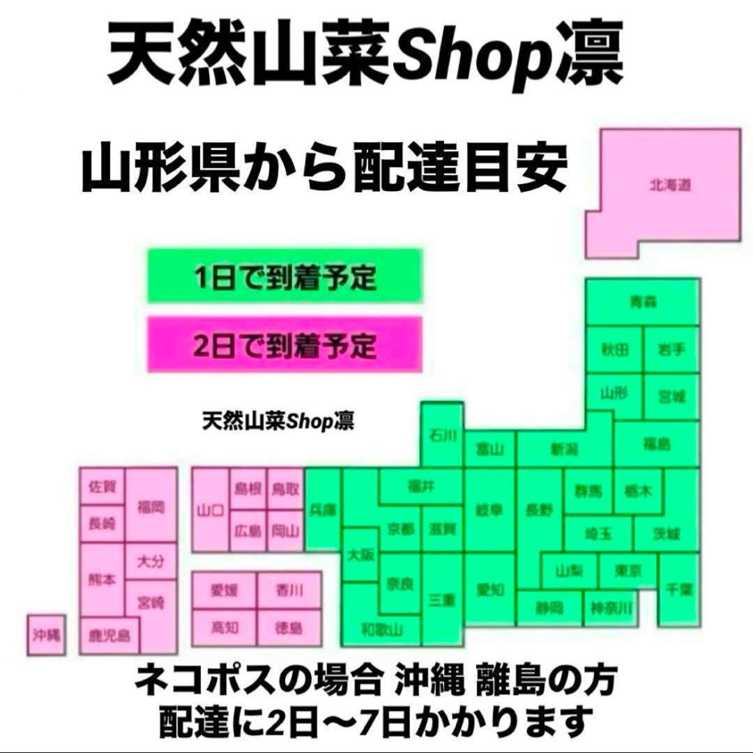 天然きのこ 松茸 国産 良品‼️ マツタケ まつたけ 大自然の凛さん採取その122