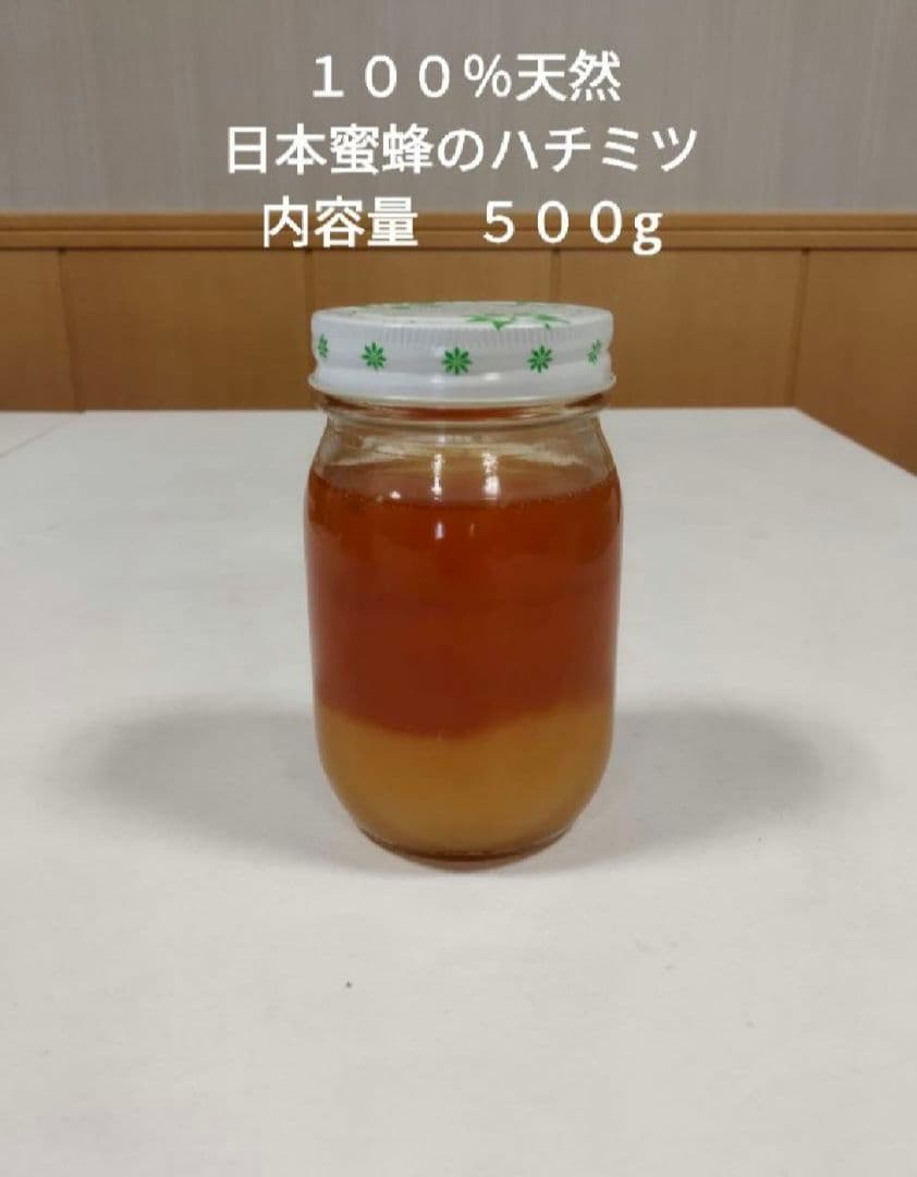 日本蜜蜂の天然ハチミツ　内容量５００g × 2本