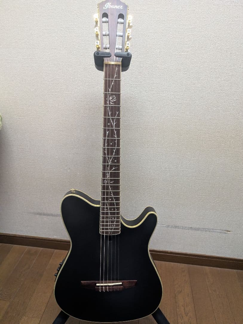 Ibanez timhensonモデル