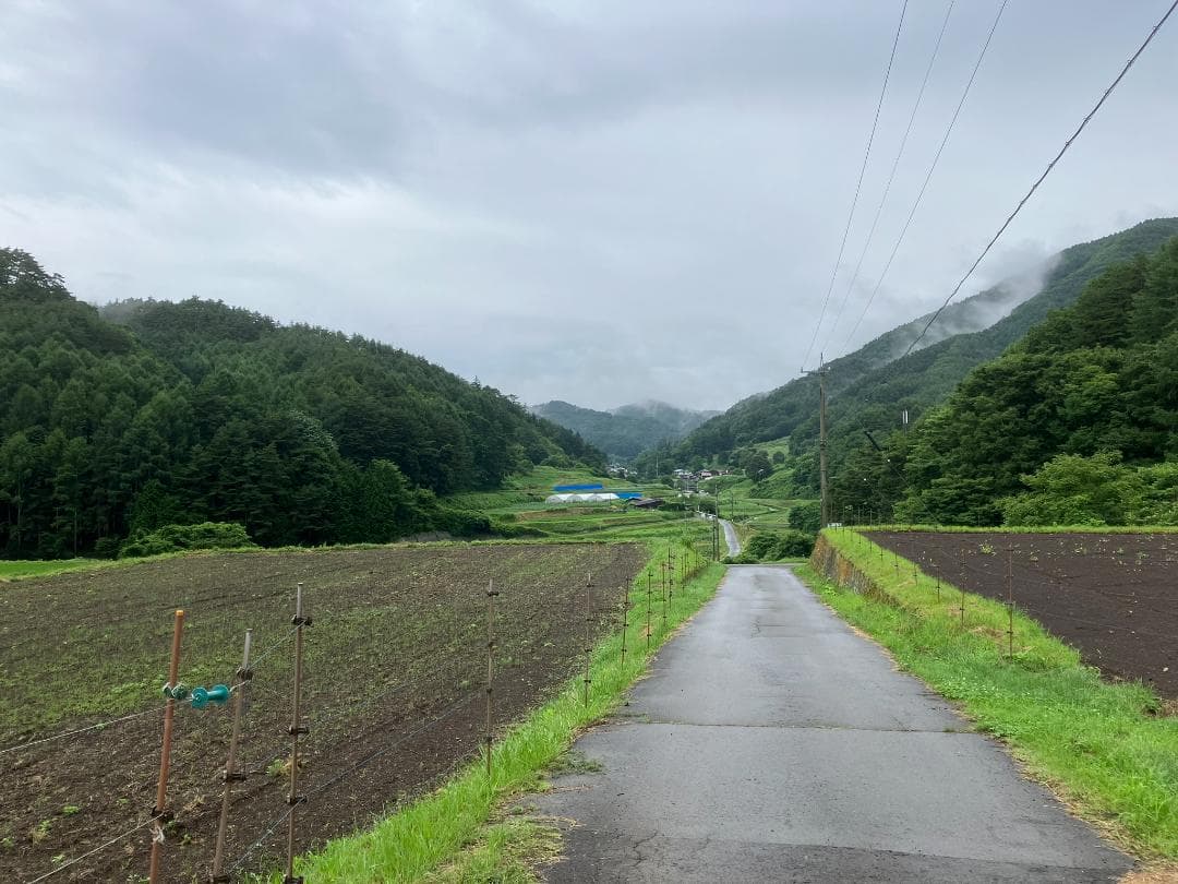 山栗 百花蜜 1000g 2本 信州産 セイヨウミツバチ 栗蜜 国産蜂蜜