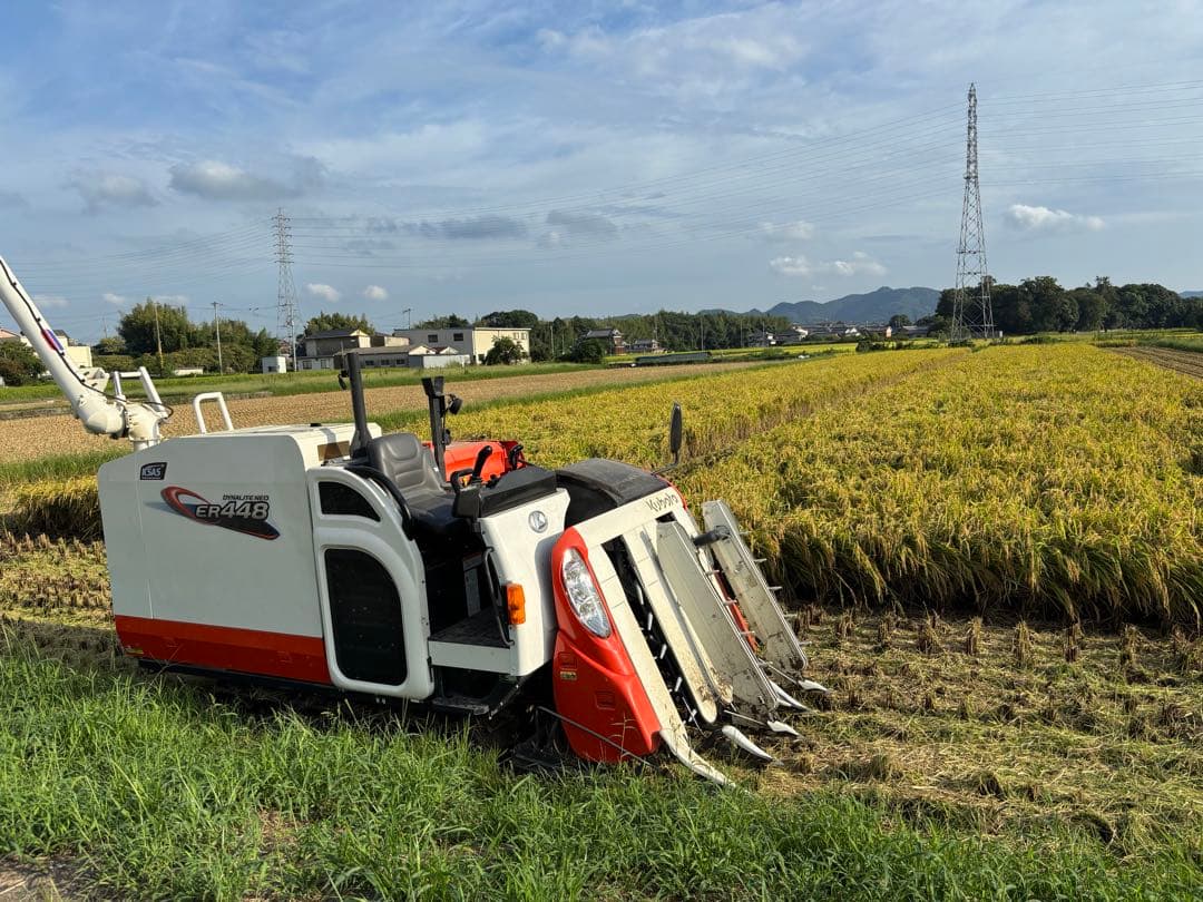 令和7年兵庫県産　キヌムスメ（スコア84点）　10㎏